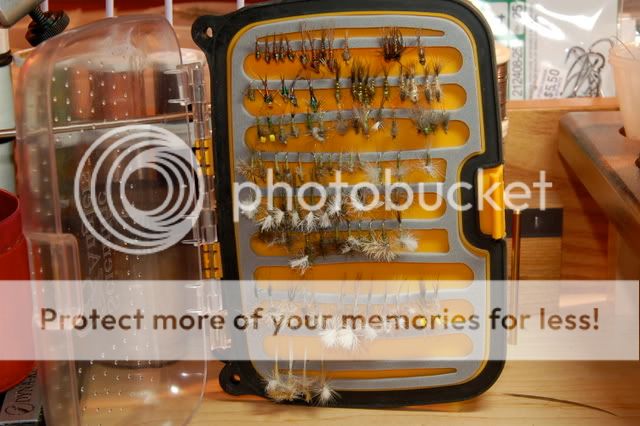 » Topic: how do you organize your fly box