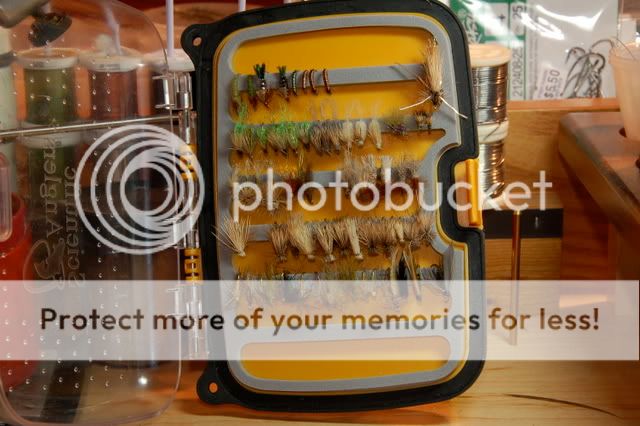 » Topic: how do you organize your fly box