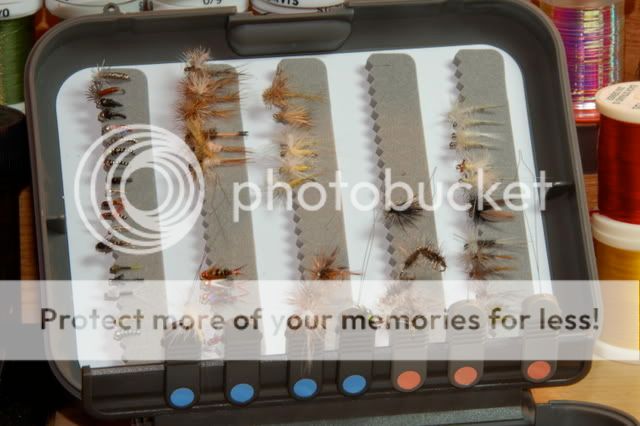 » Topic: how do you organize your fly box