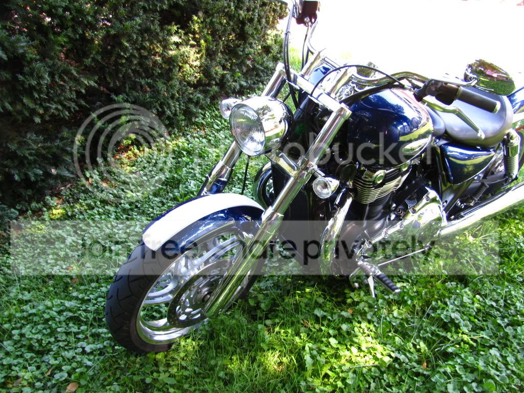 Inspection Sticker Placement | Triumph Rat Motorcycle Forums