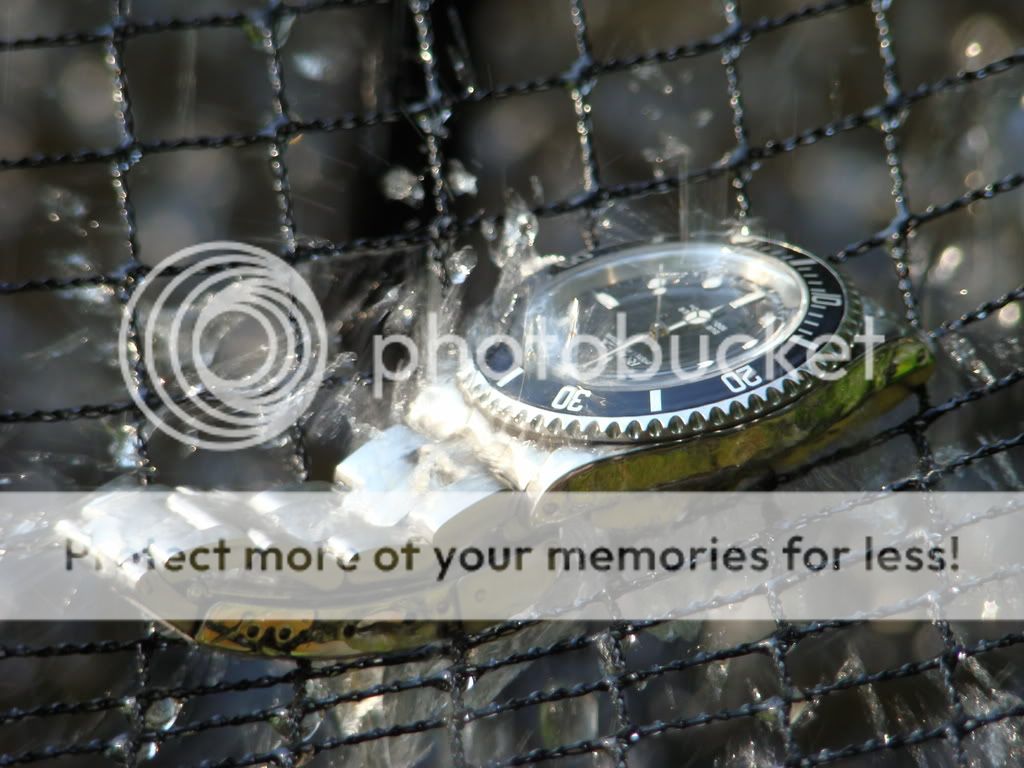 A Rolex. A Pond. A Snake. - Rolex Forums - Rolex Watch Forum