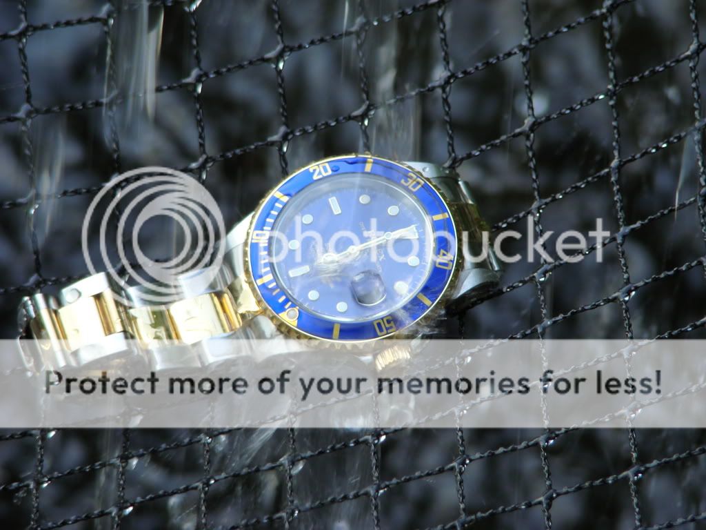 A Rolex. A Pond. A Snake. - Rolex Forums - Rolex Watch Forum