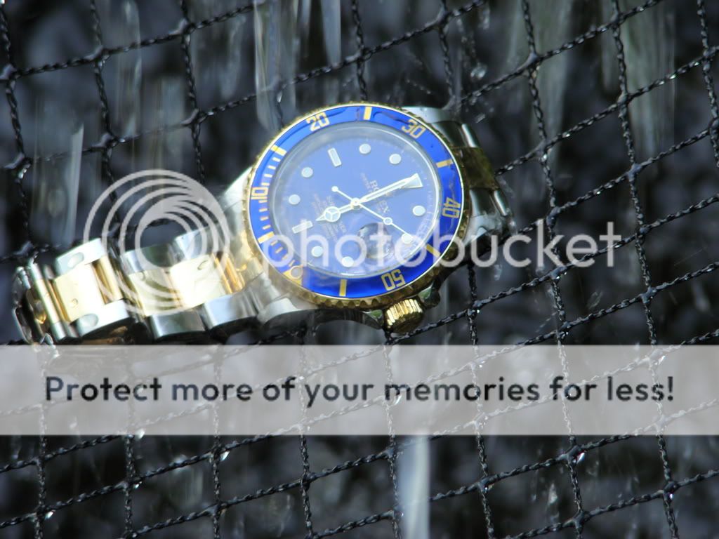 A Rolex. A Pond. A Snake. - Rolex Forums - Rolex Watch Forum