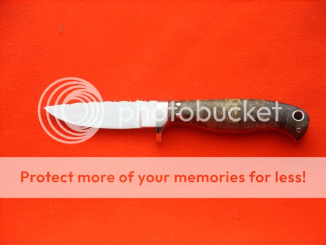 Squirrel Skinner | Rimfire Central Firearm Forum