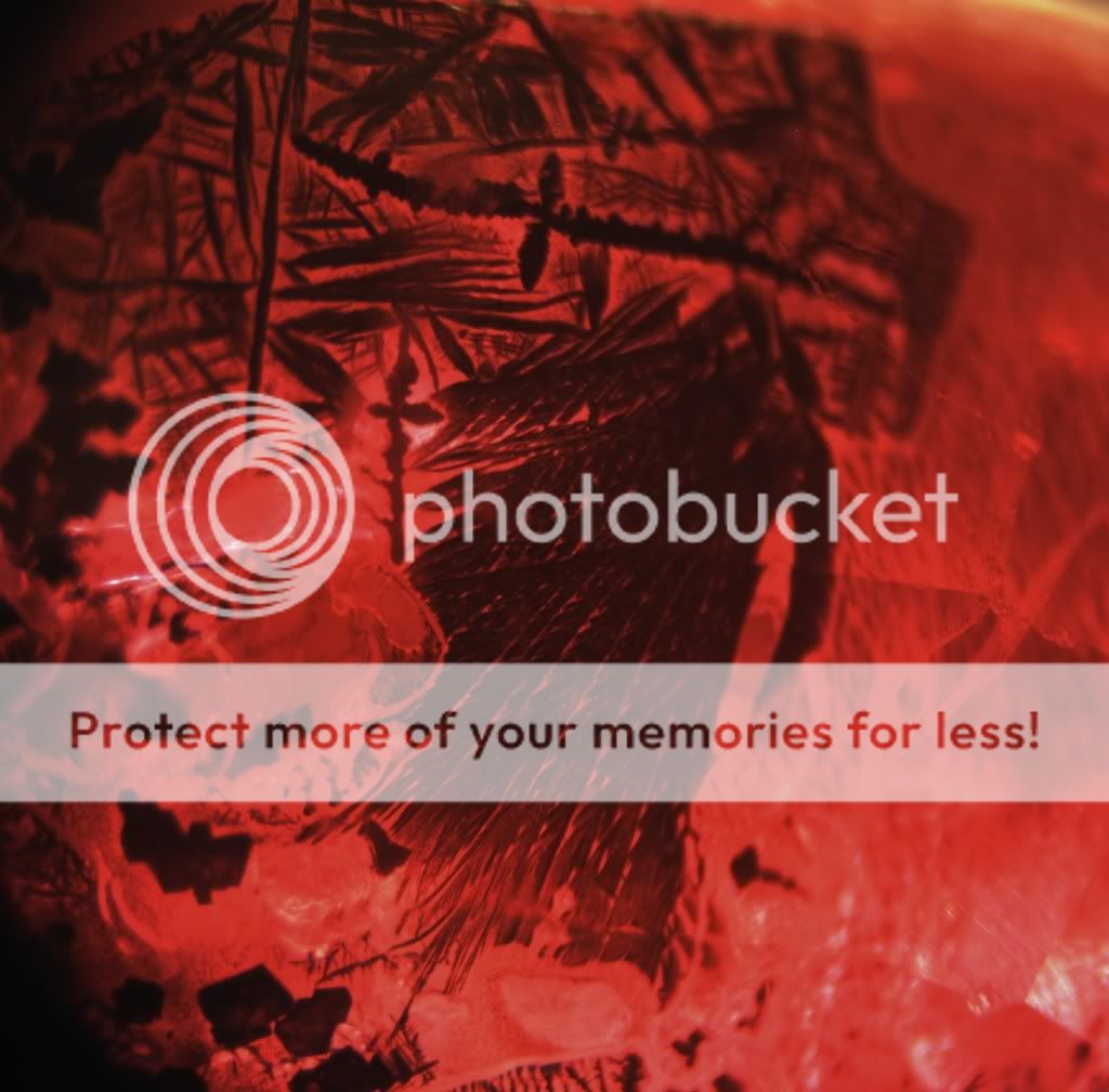 Ruby Inclusion - GemologyOnline.com