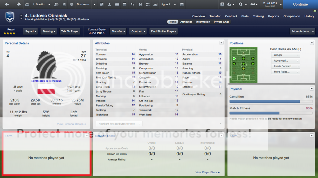 Changing the player profile screen format. - Football Manager General ...