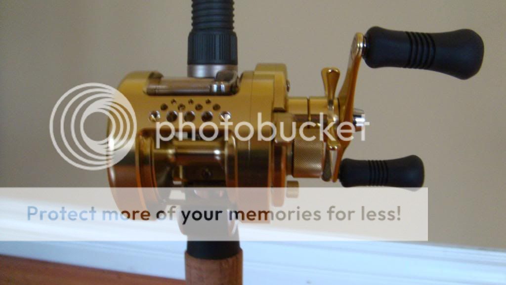 Shimano Calcutta Conquest 300 (Japanese) NIB & G. Loomis Swimbait Rod ...