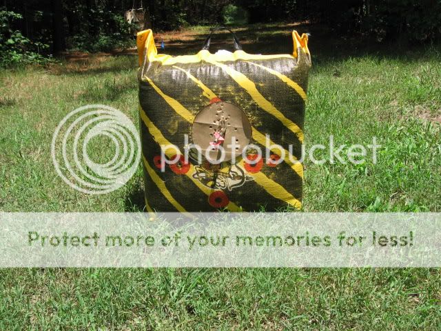 2011 Excalibur Vortex | Archery Talk Forum